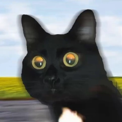 $ANDREA | Viral TikTok Animal Memecoin